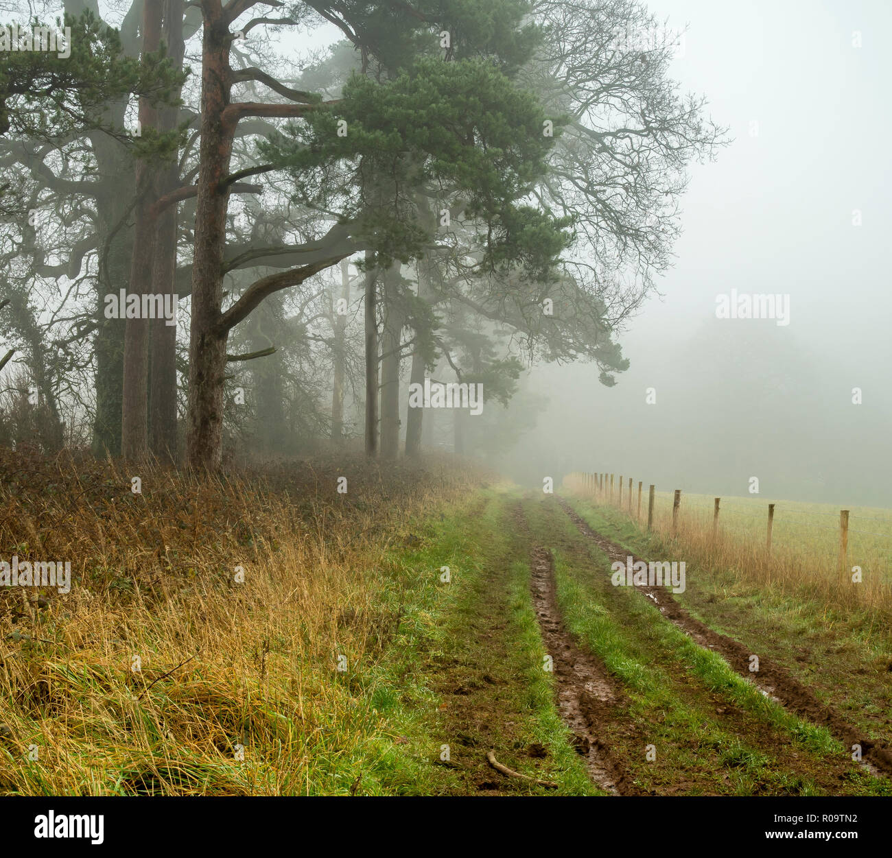 Misty farm hi-res stock photography and images - Alamy