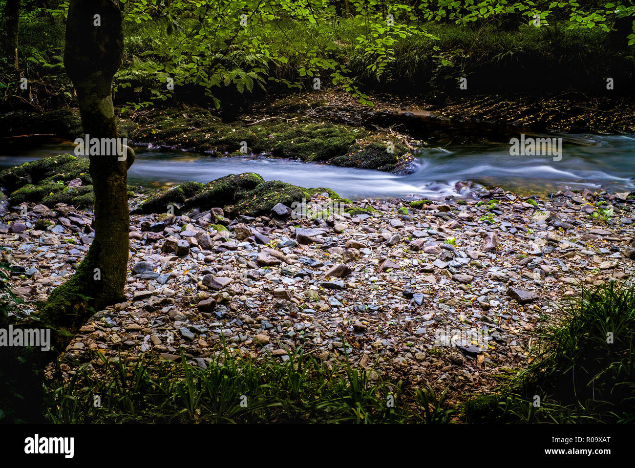 Blurred water slow exposure flowing river in shell woods bodmin moor ...