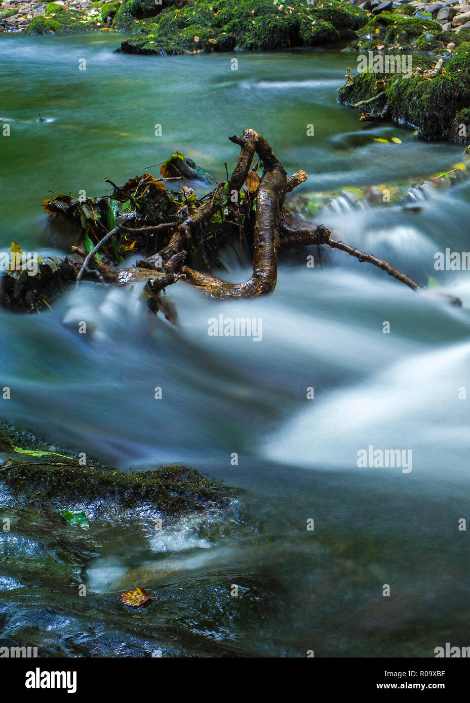Parid flow hi-res stock photography and images - Alamy