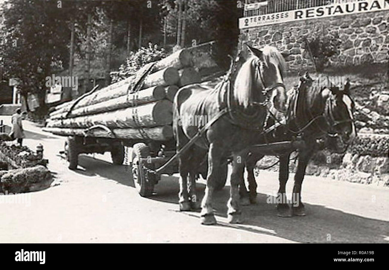 antique photo of vintage form of transportation, historical collection ...