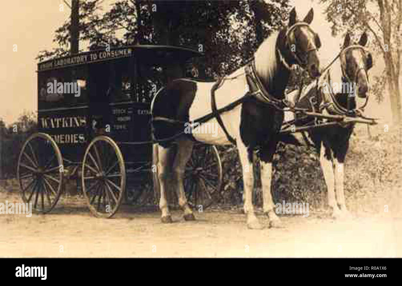 antique photo of vintage form of transportation, historical collection ...