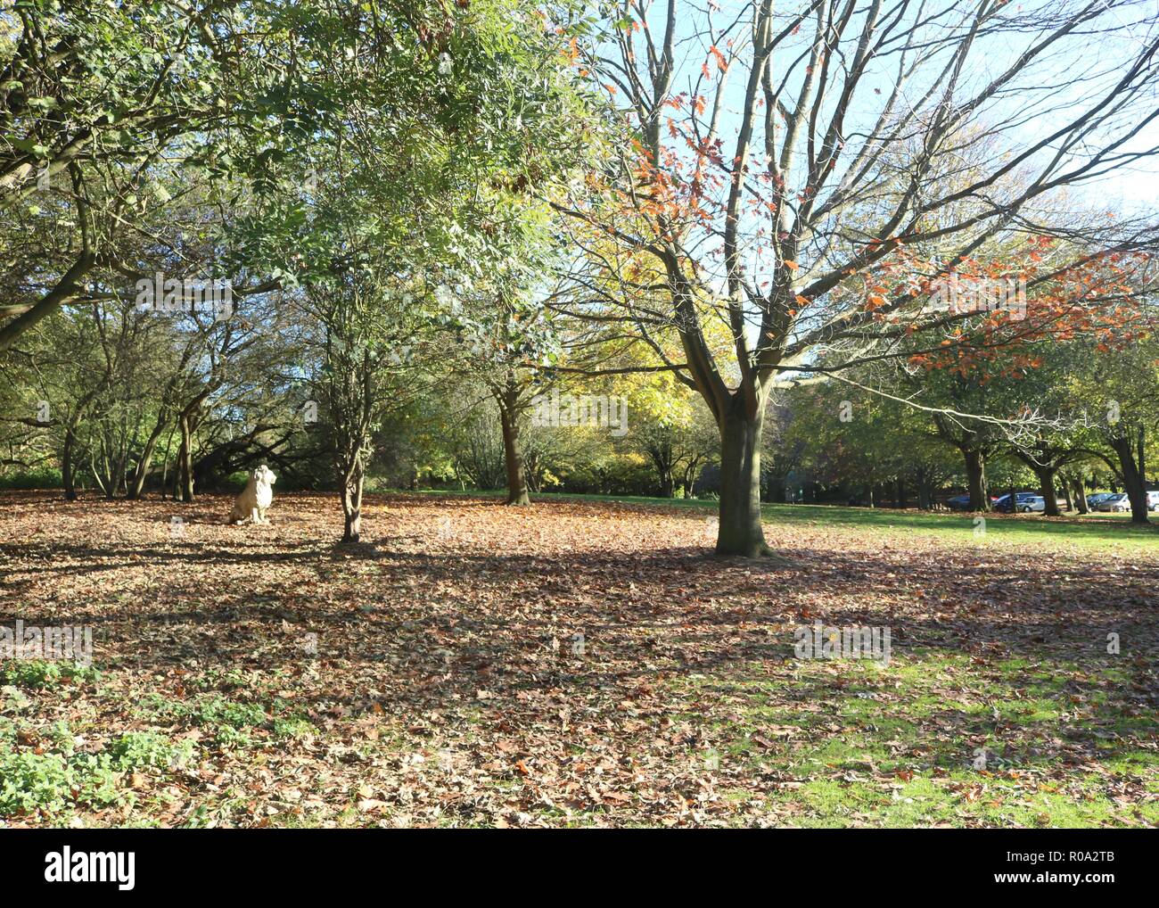 Cobtree Manor Park , Kent Stock Photo - Alamy