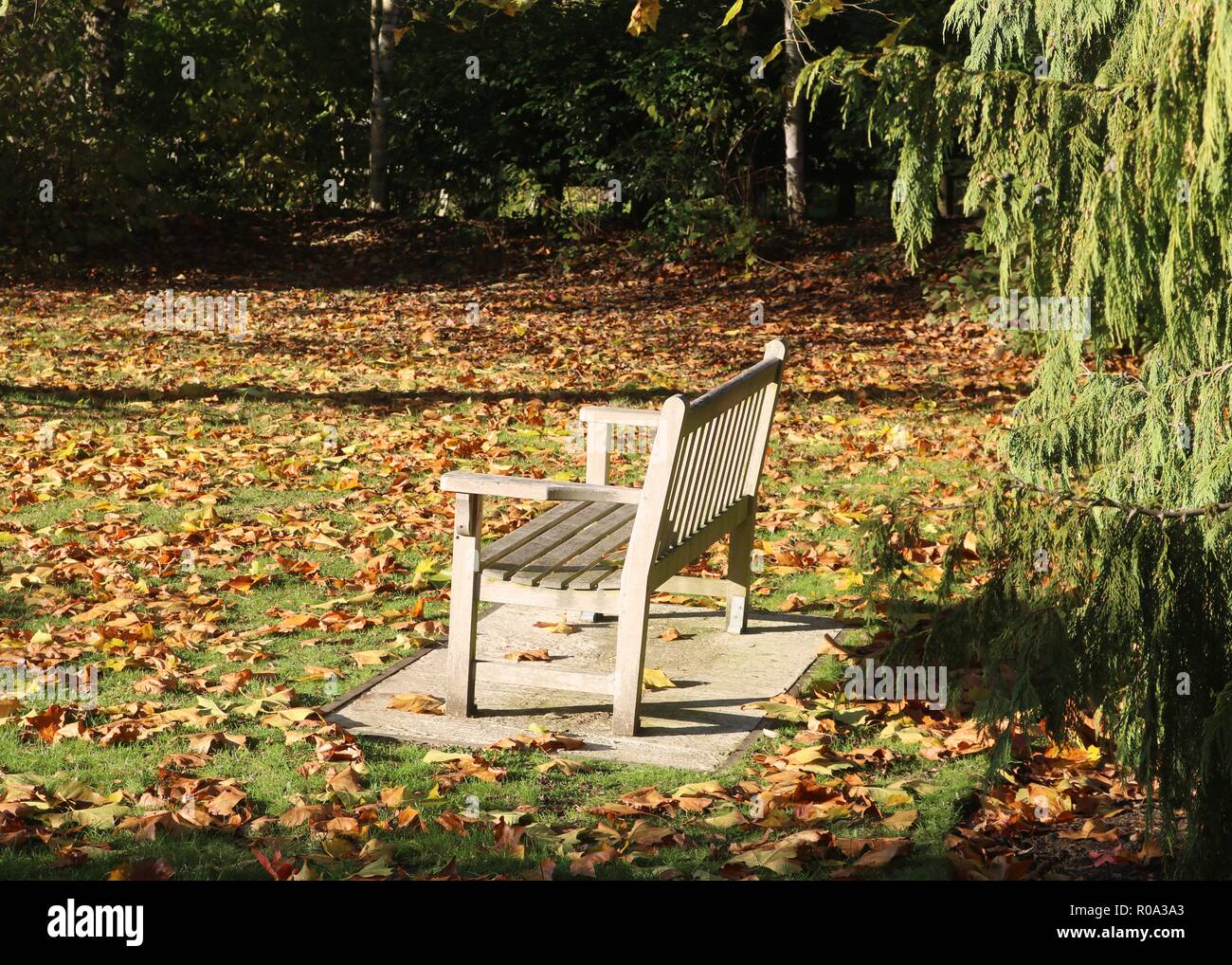 Cobtree Manor Park , Kent Stock Photo - Alamy