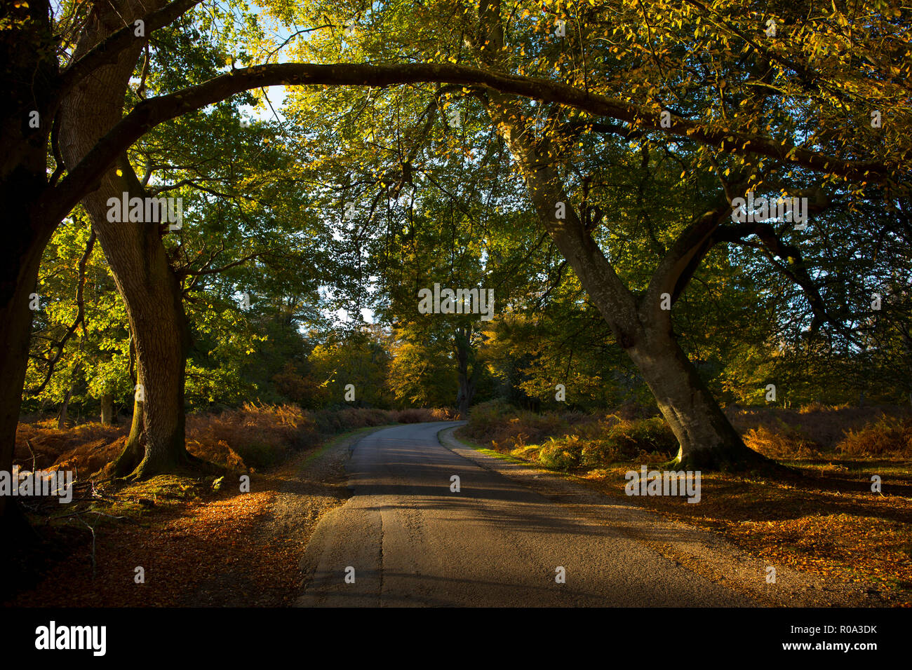 Ornamental drive hi-res stock photography and images - Alamy