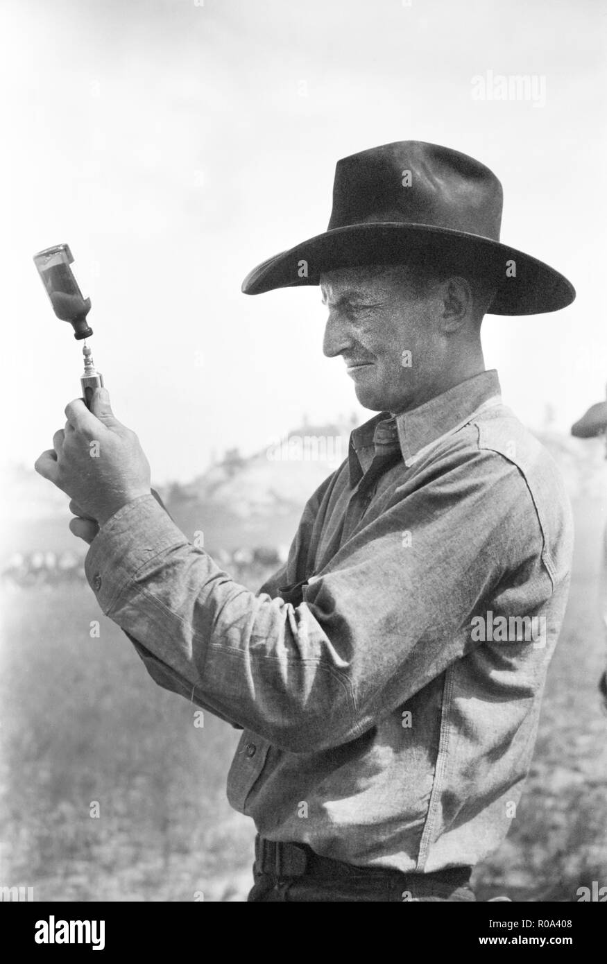 Cowboy Filling Syringe with Blackleg Serum, Quarter Circle U Ranch ...