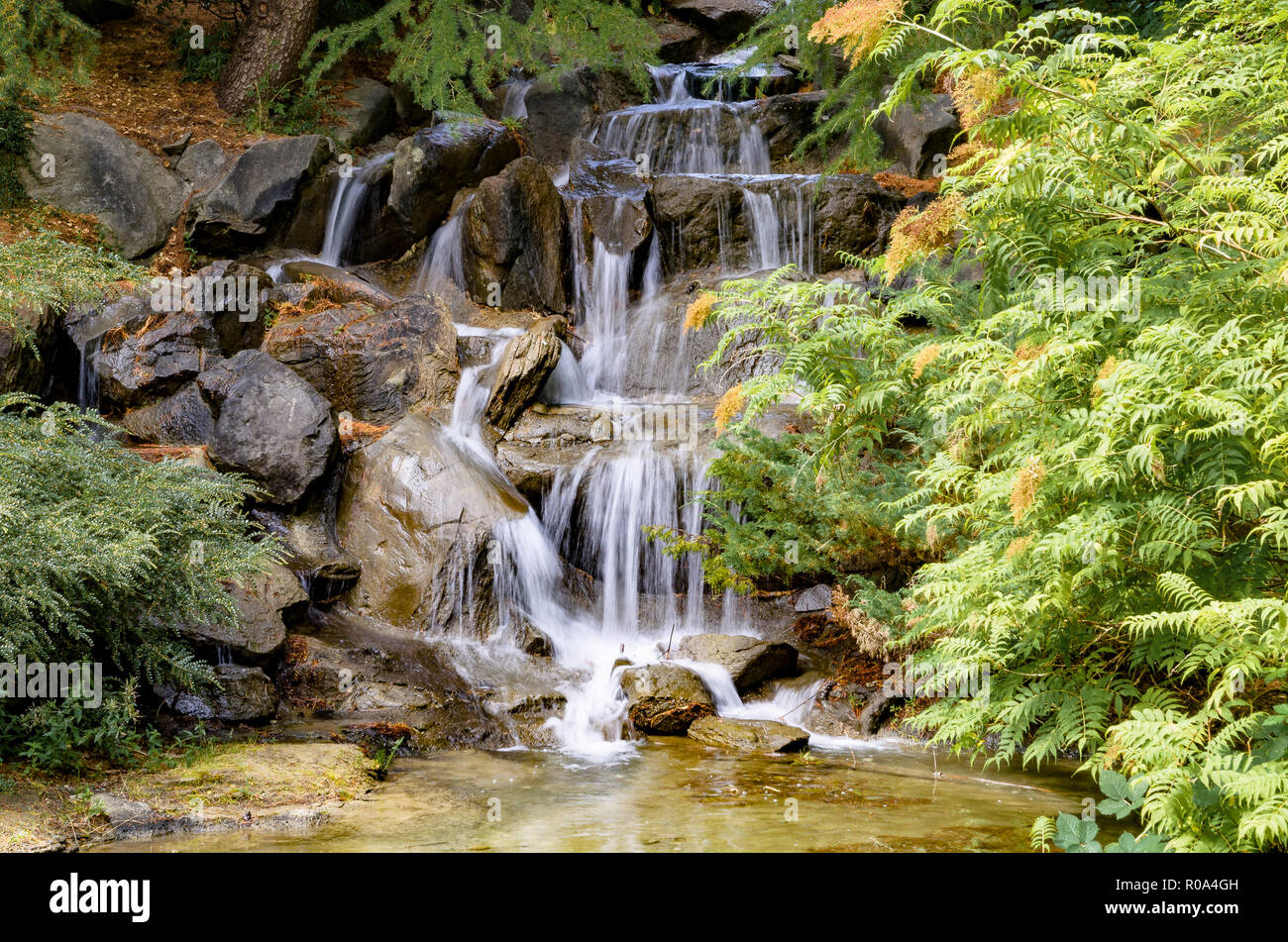 Vancouver vandusen botanical garden hi-res stock photography and images ...