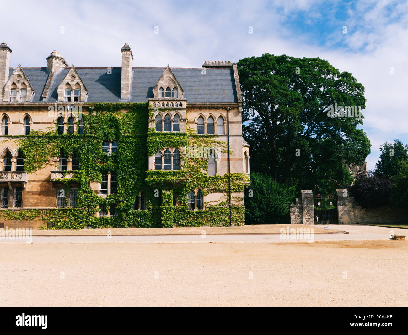 College in Oxford with ivy growing on the wall. Lots of windows and ...