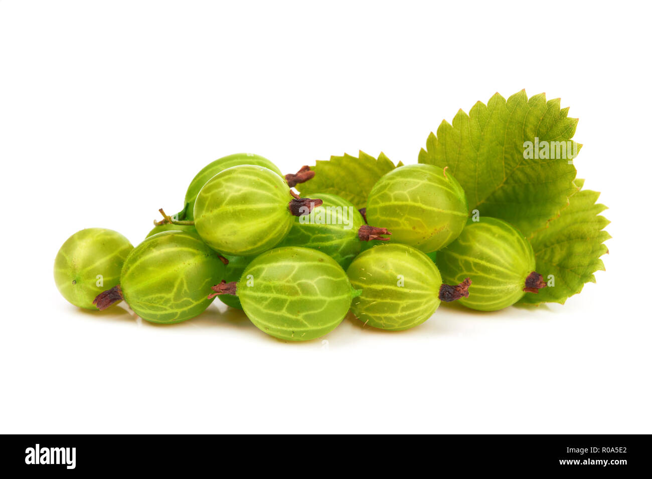 Gooseberries on a white background Stock Photo - Alamy