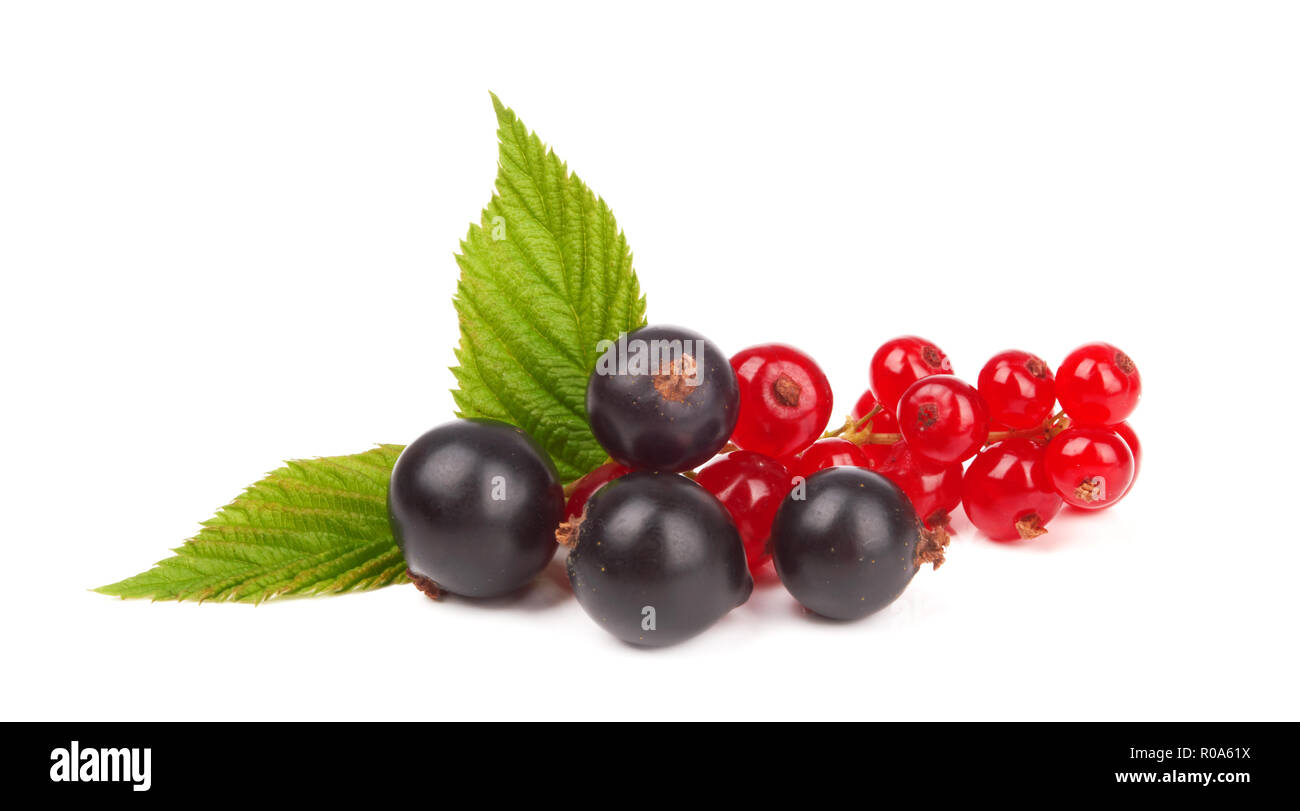 red and black currants isolated on white background Stock Photo - Alamy
