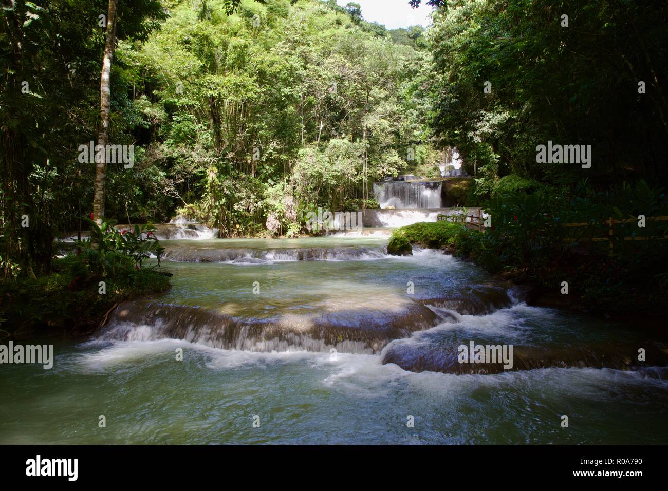 YS falls is a popular natural tourist attraction in Saint Elizabeth ...