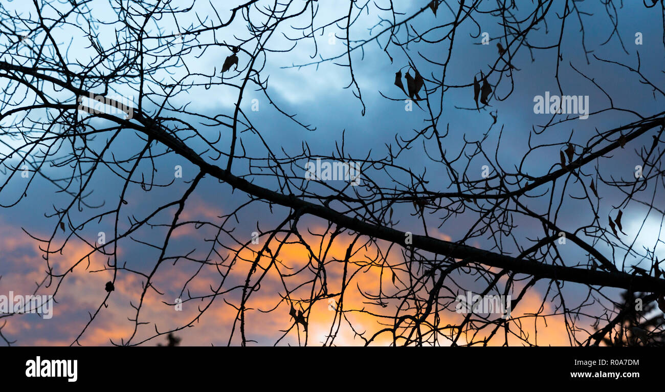 Late sunset sky hi-res stock photography and images - Alamy