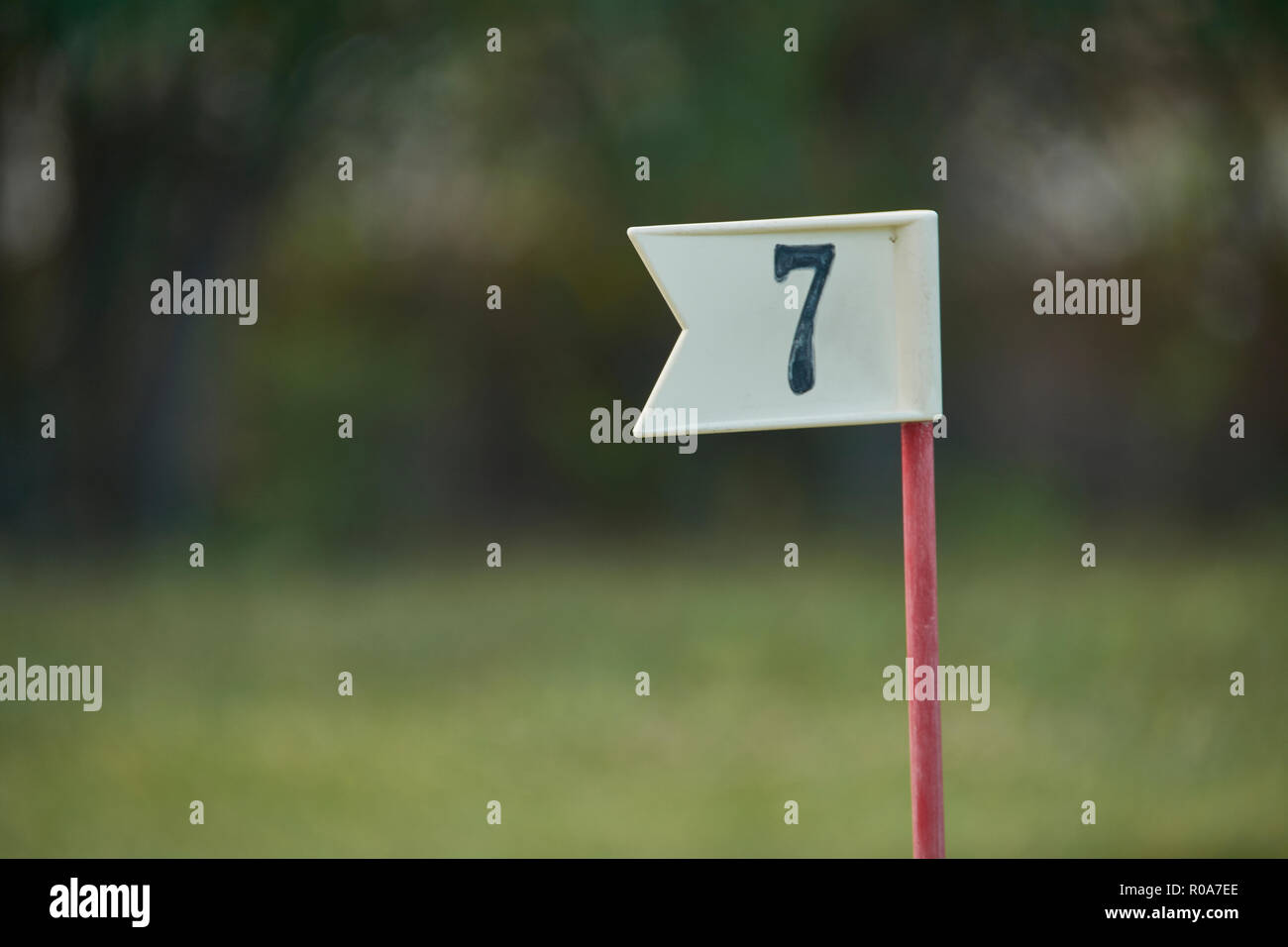 Flag with number 7 used in the sport of golf to mark the hole of the ...