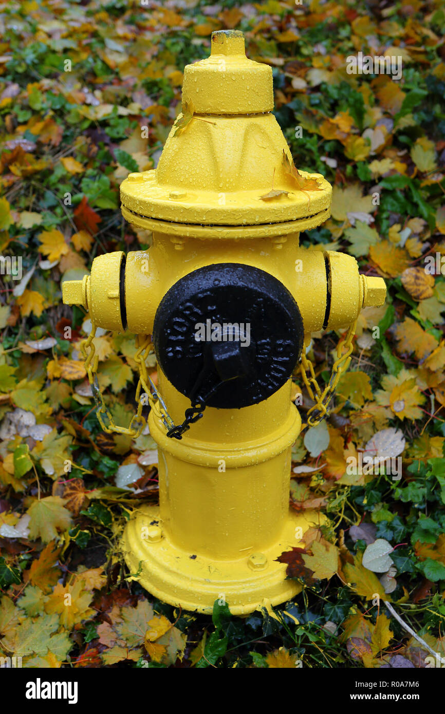 Fire hydrant canada hi-res stock photography and images - Alamy
