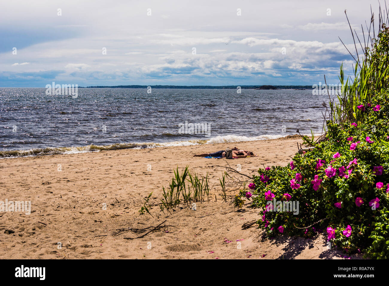 Hammonasset Beach State Park Madison, Connecticut, USA Stock Photo - Alamy