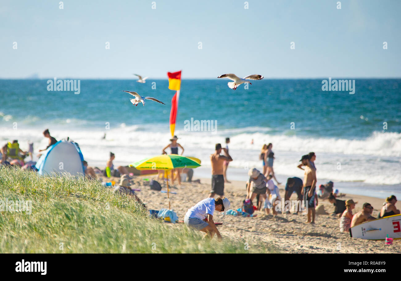 Sea Gulls hovering over head with people enjoying the beach Stock Photo ...