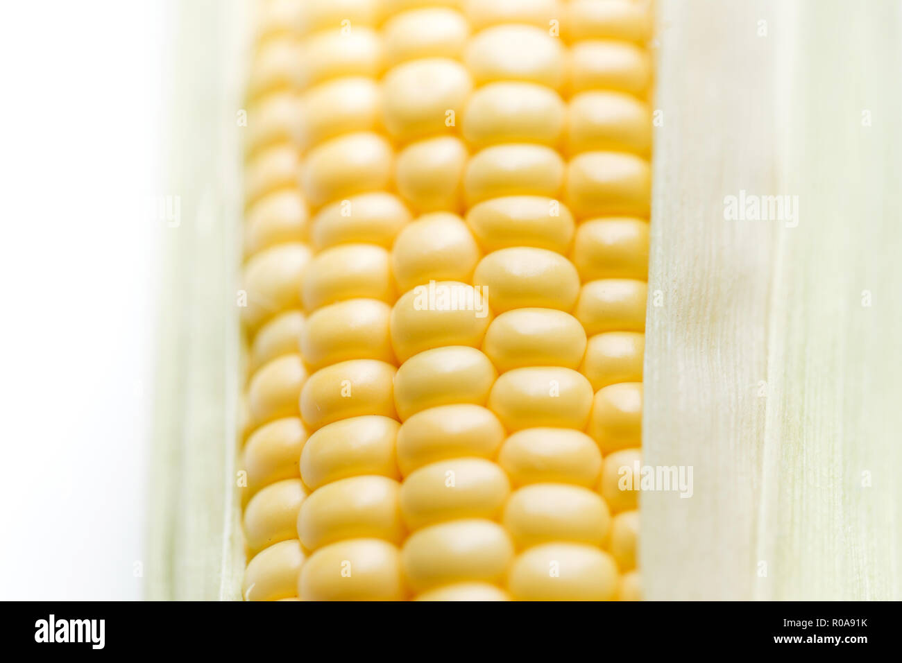 Corn closeup isolated on white Stock Photo - Alamy