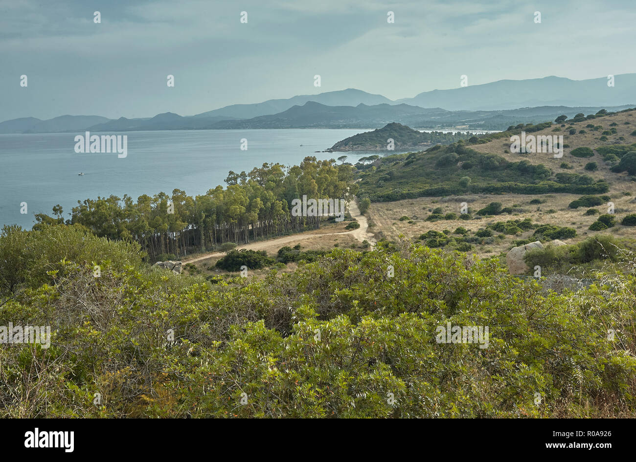 Typical landscape of the southern coast of Sardinia with its vegetation ...
