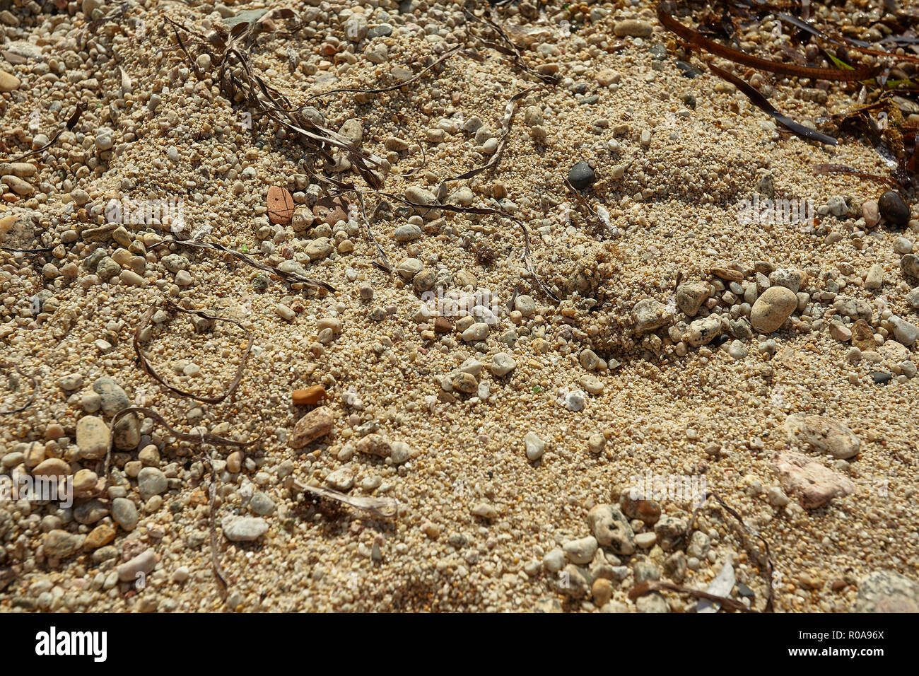 Very high definition texture containing pebbles and yellow sand typical ...
