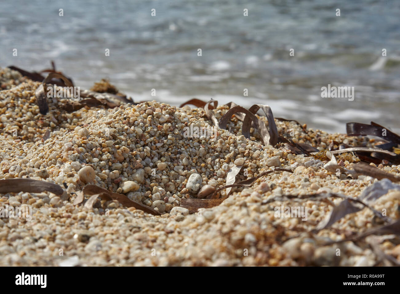 Texture and detail of coarse sand formed by pebbles of various colors ...