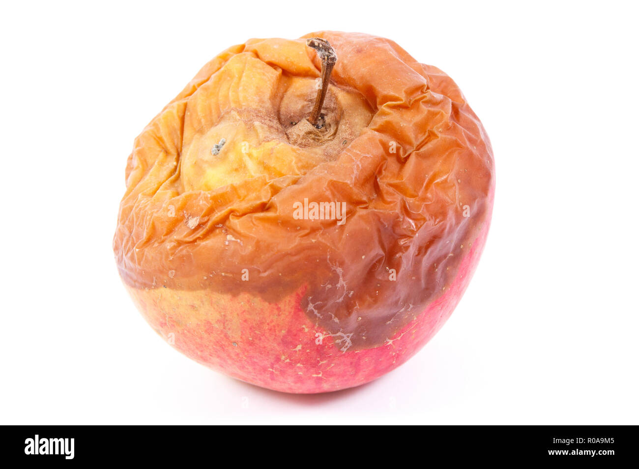 Old wrinkled apple with mold on white background, unhealthy food Stock ...