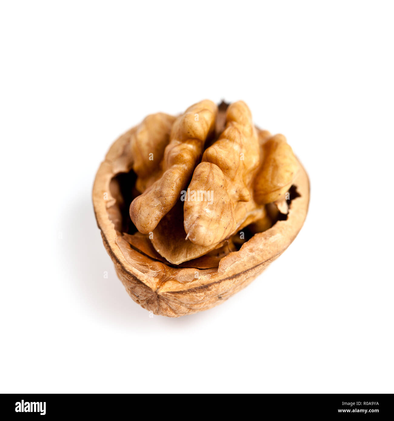 fresh walnut on white background Stock Photo - Alamy
