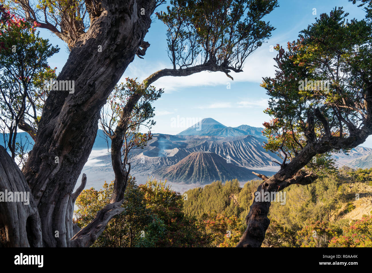 The sunrise of the Bromo volcano Stock Photo - Alamy