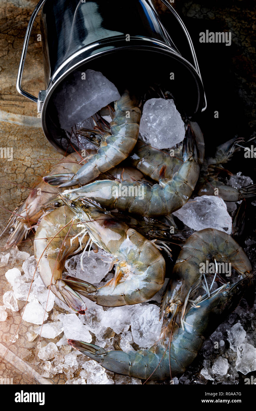 Raw and fresh shrimps or prawns and ice bucket with low and dark shadow ...