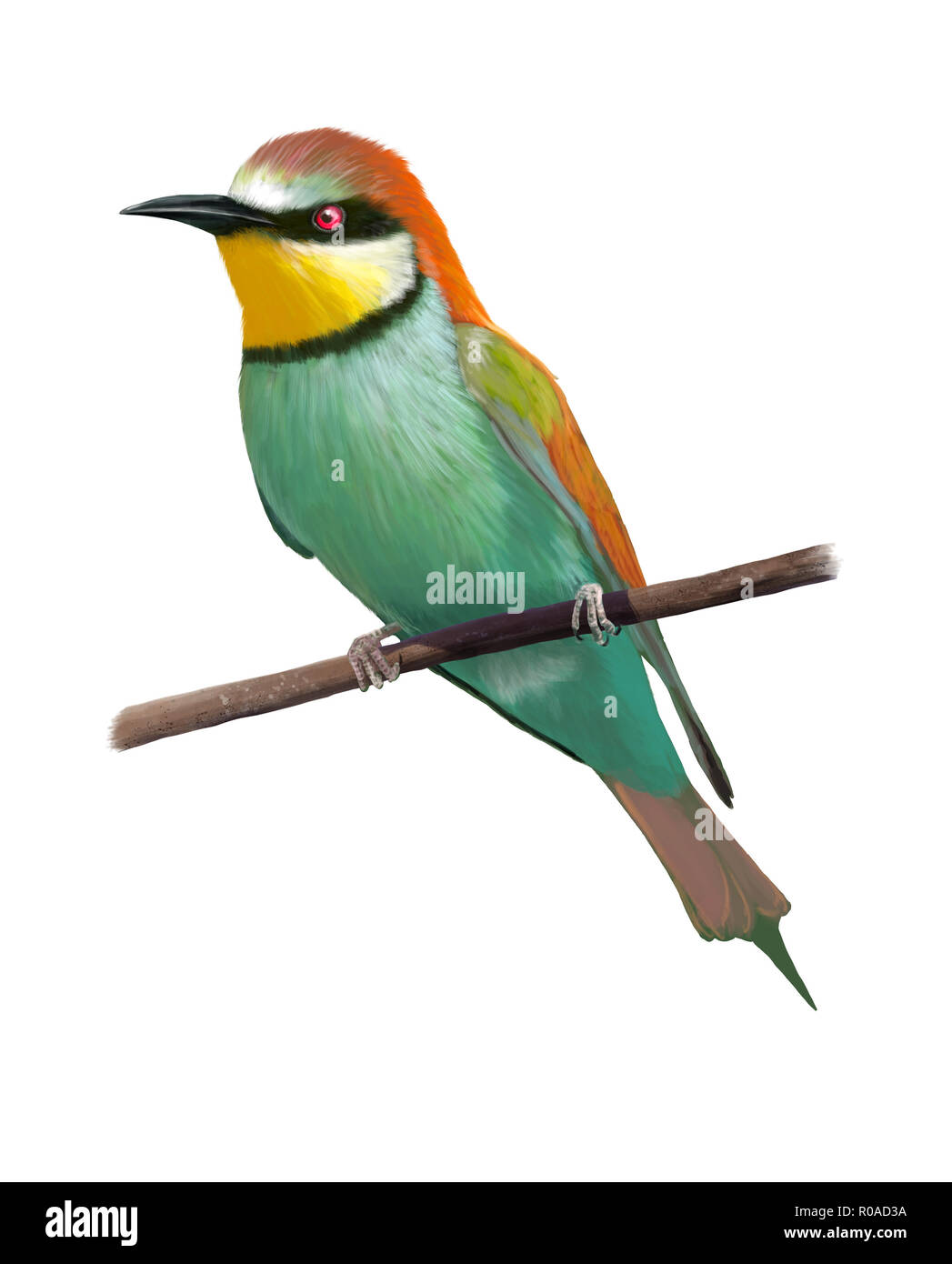 Digital illustration of an European bee-eater Stock Photo - Alamy
