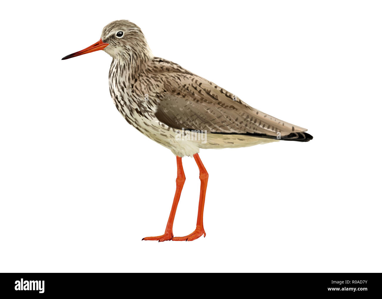 This illustration is a common hi-res stock photography and images - Alamy