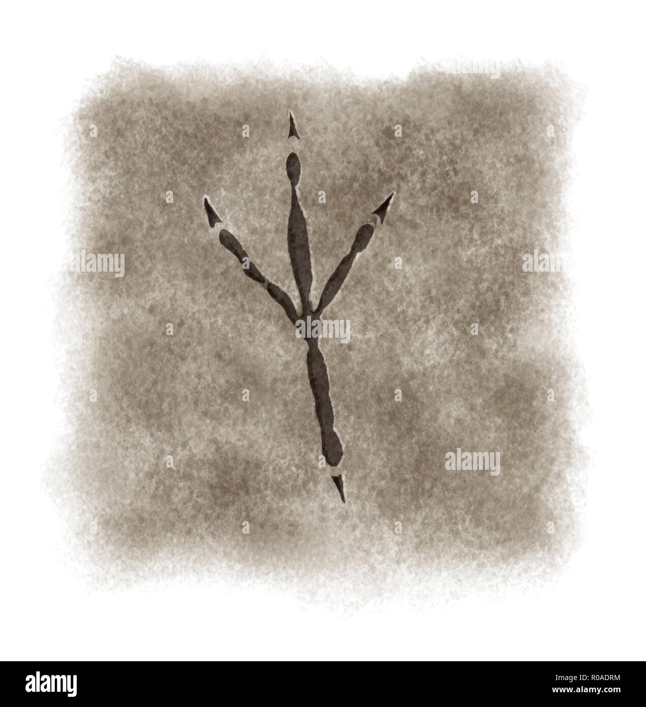 Digital illustration of a sparrow footprint Stock Photo - Alamy