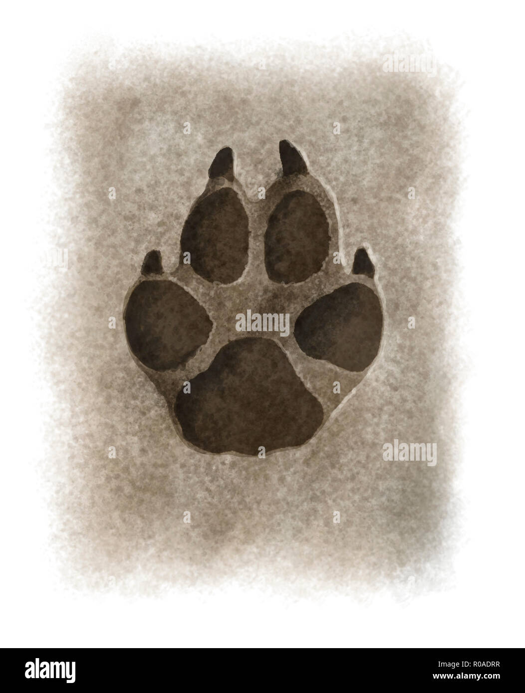 Animal Claw Marks Stock Photos & Animal Claw Marks Stock Images - Alamy