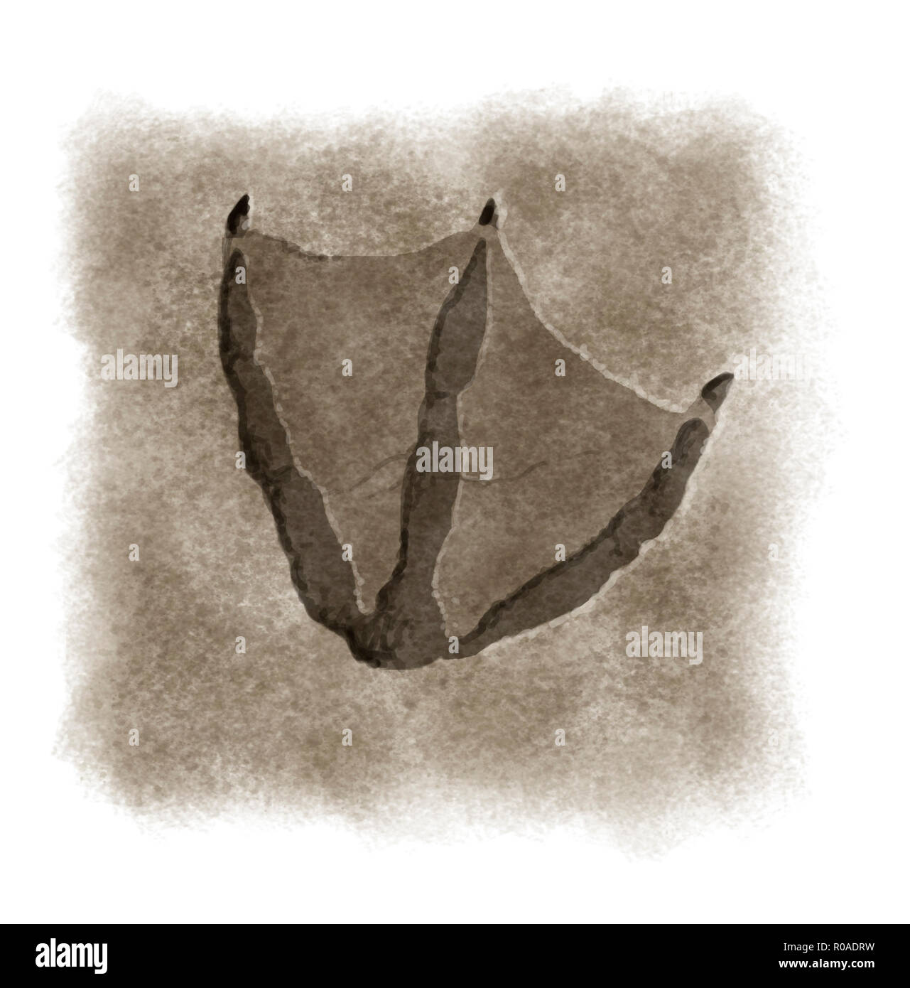 Duck footprint hi-res stock photography and images - Alamy