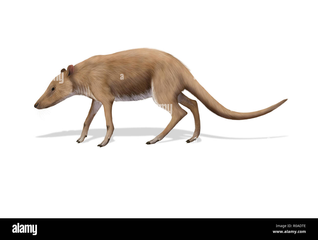 Digital reconstruction hi-res stock photography and images - Alamy