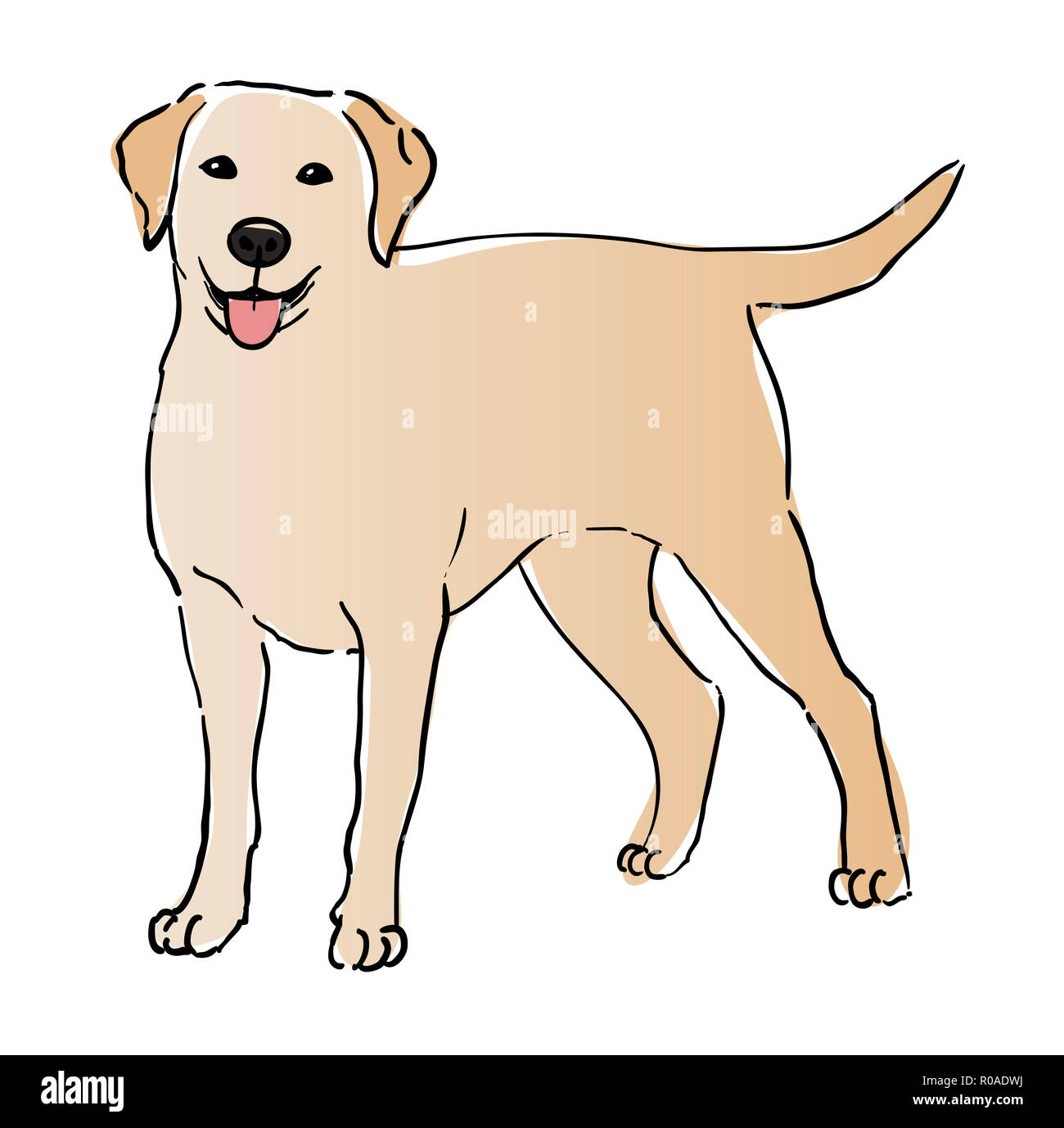 Digital sketch of a labrador dog Stock Photo - Alamy
