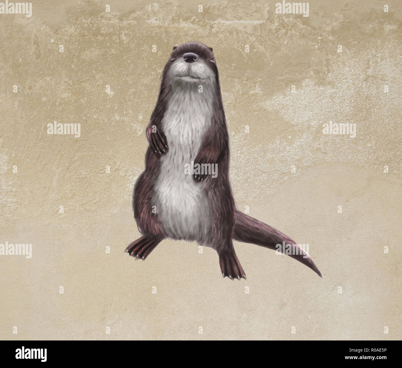 Illustration of an otter hi-res stock photography and images - Alamy