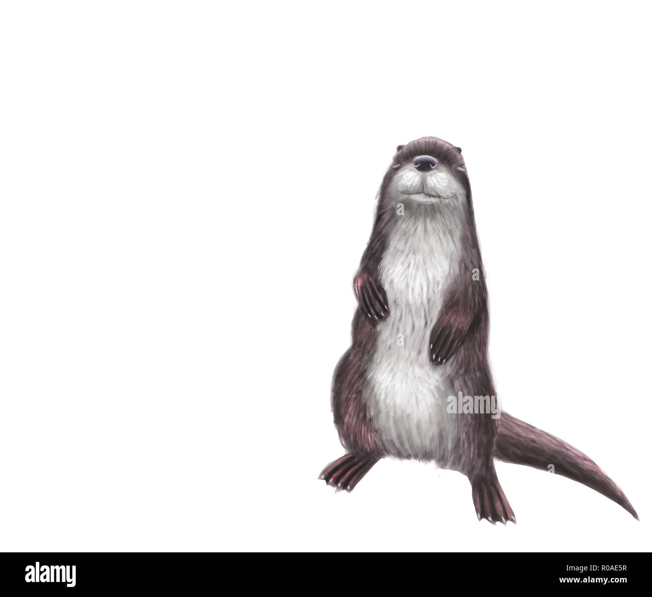 Digital toon illustration of a otter isolated Stock Photo - Alamy