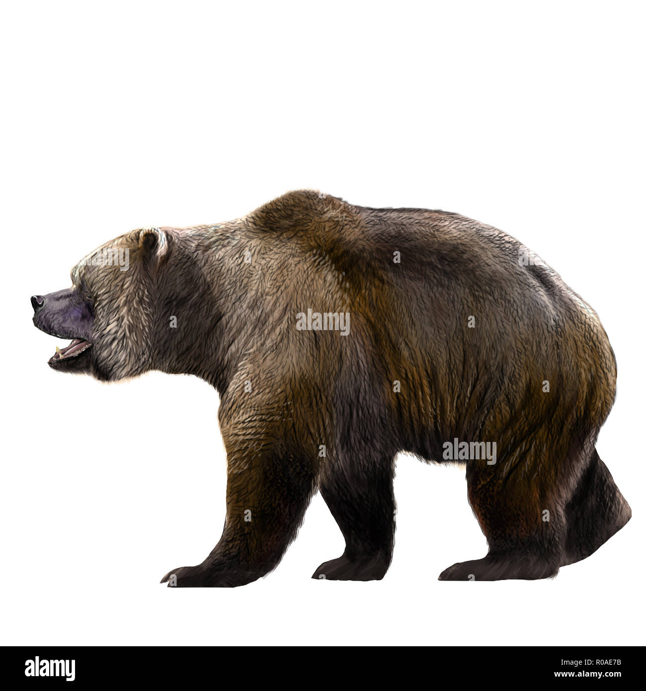 Extinct Cave Bear