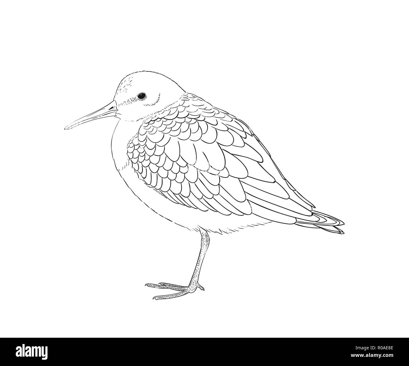 A tracts Cut Out Stock Images & Pictures - Alamy