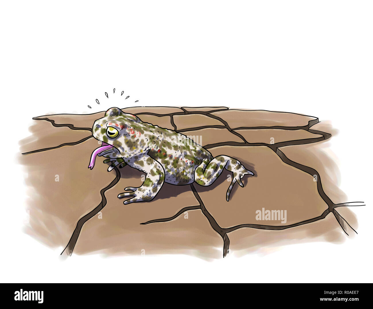 Toad drought digital illustration. Amphibians protection Stock Photo ...