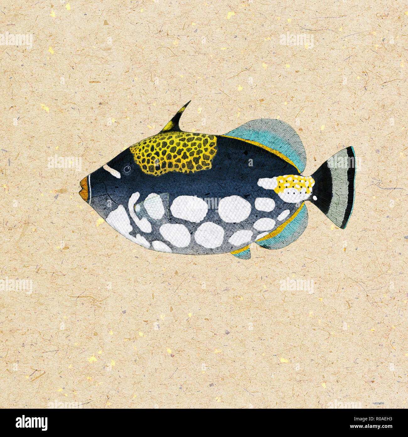 Triggerfish illustration hi-res stock photography and images - Alamy