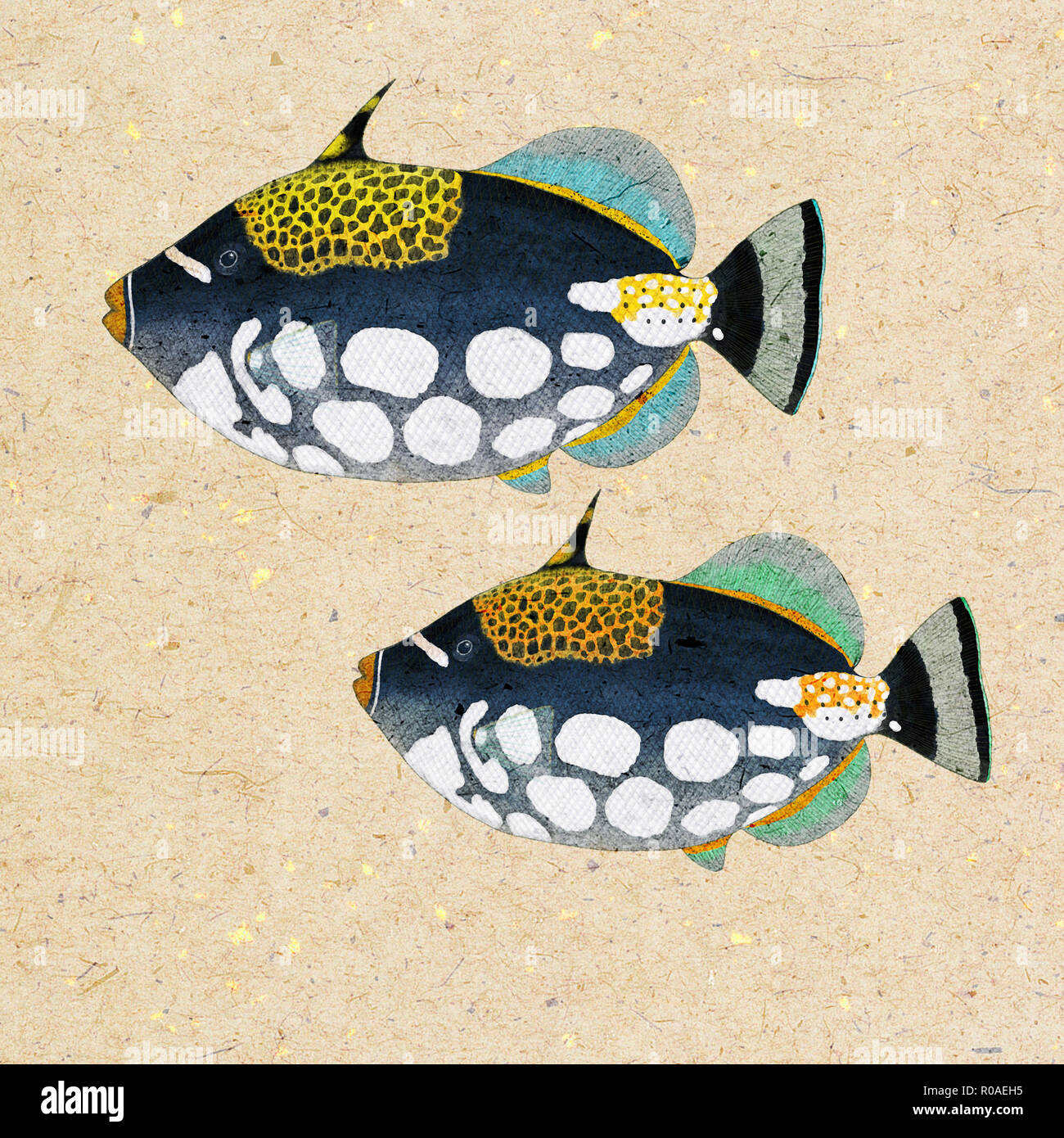 Digital illustration of a triggerfish Stock Photo - Alamy