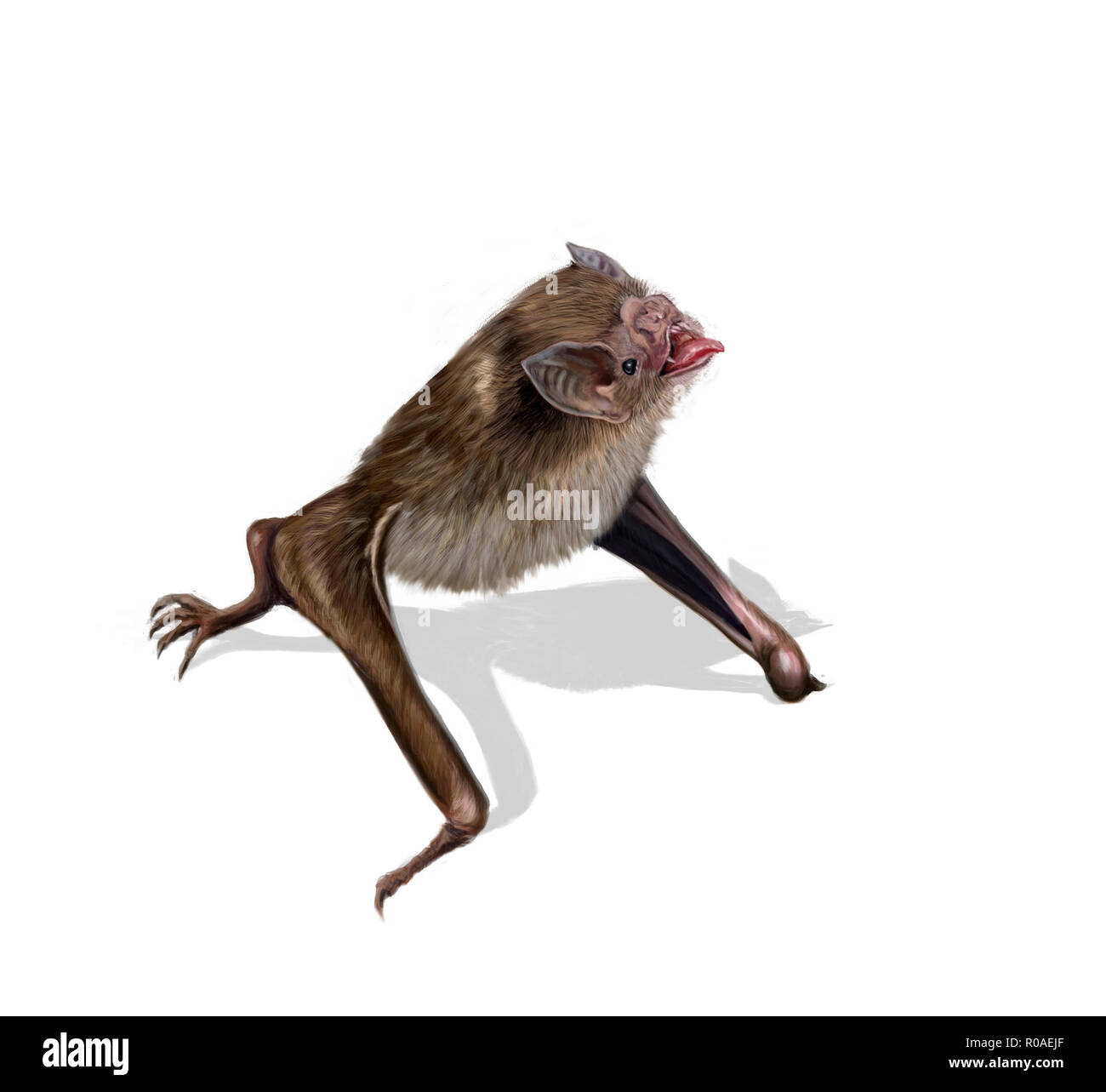 Vampire Bats Walking