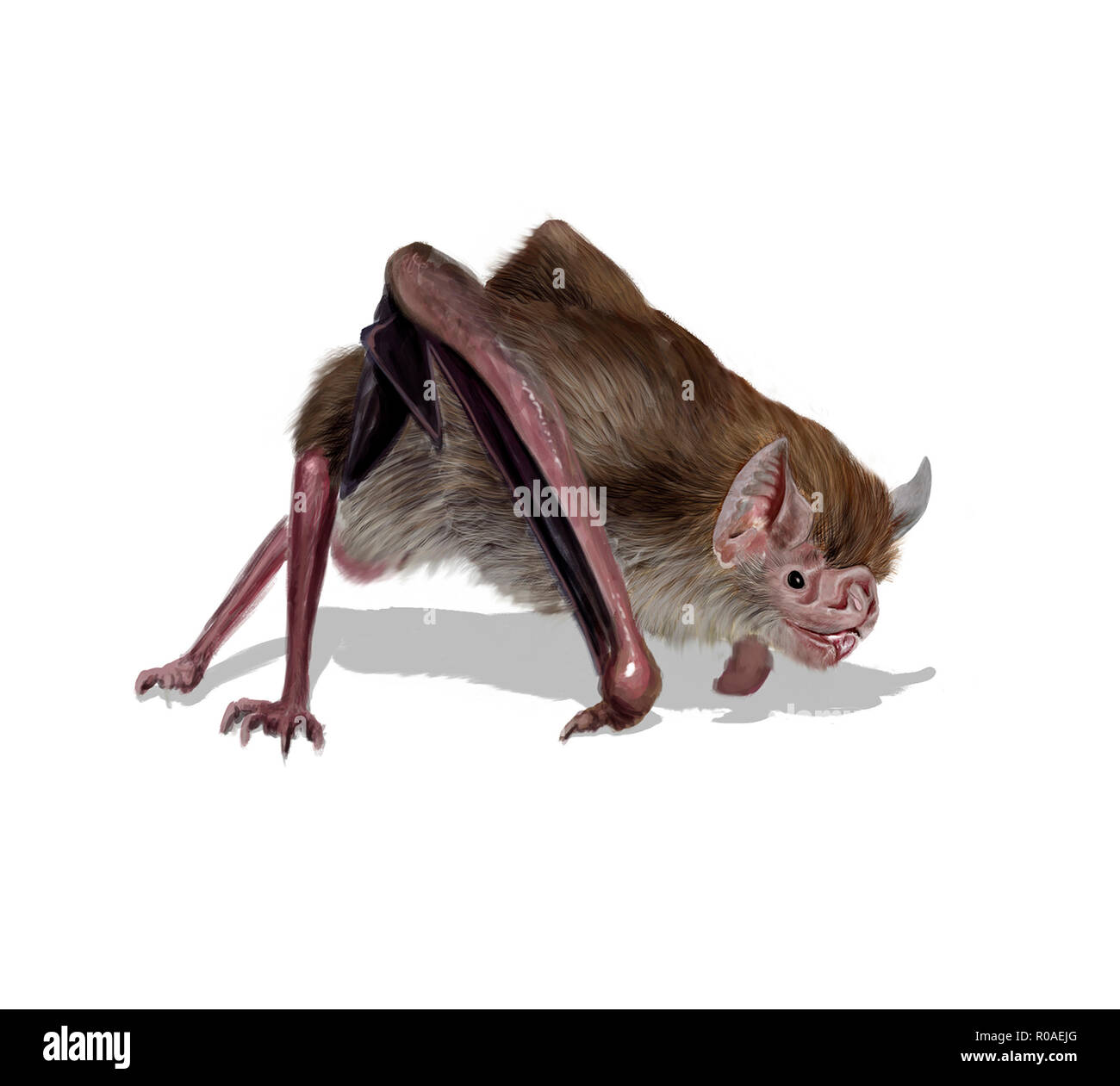Digital illustration of a vampire bat Stock Photo - Alamy