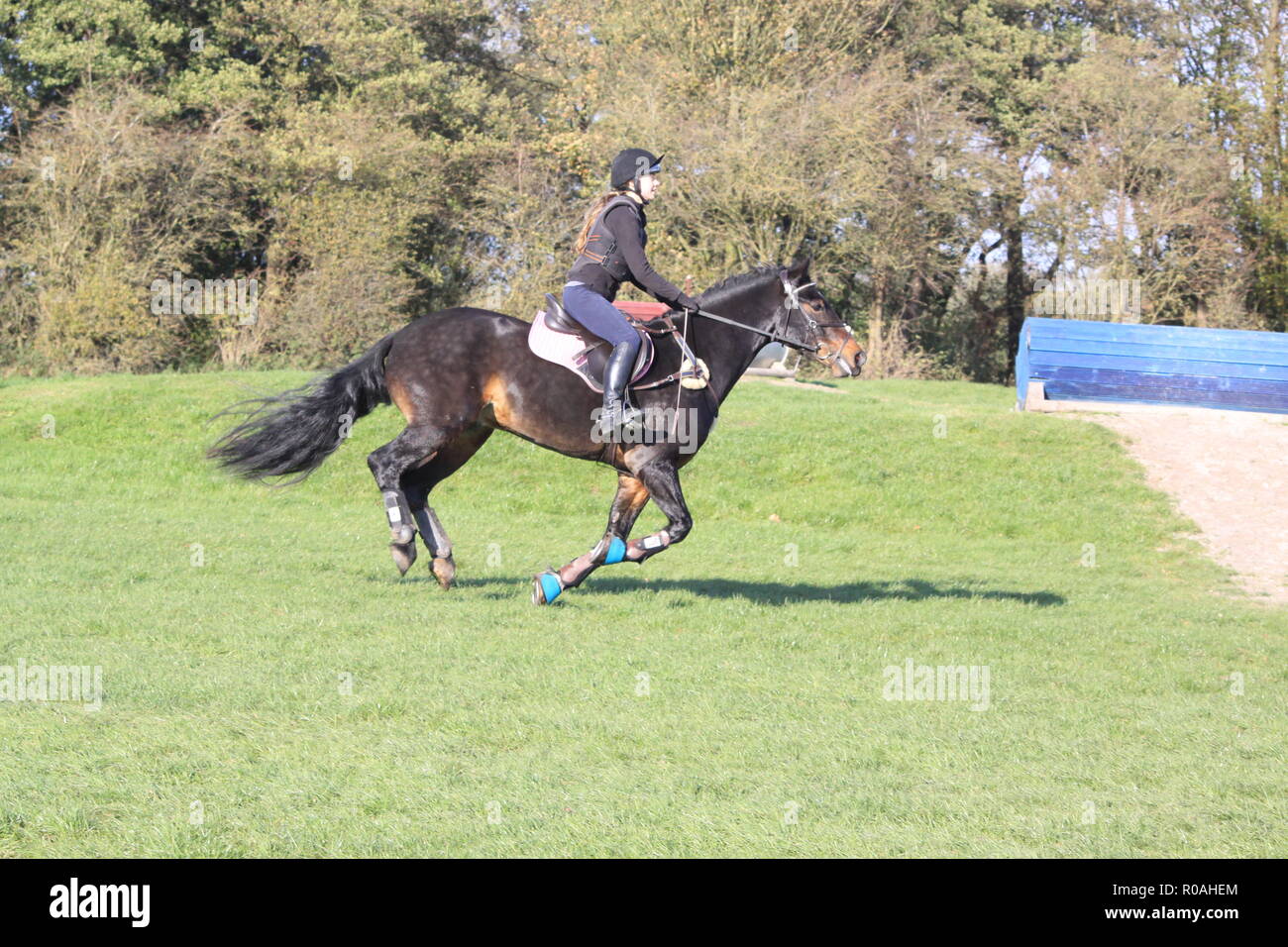 cross country schooling xc rider horse Stock Photo - Alamy