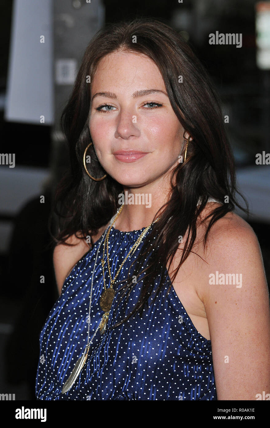 Lynn Collins - Stop Loss Premiere at the DGA Theatre in Los Angeles ...