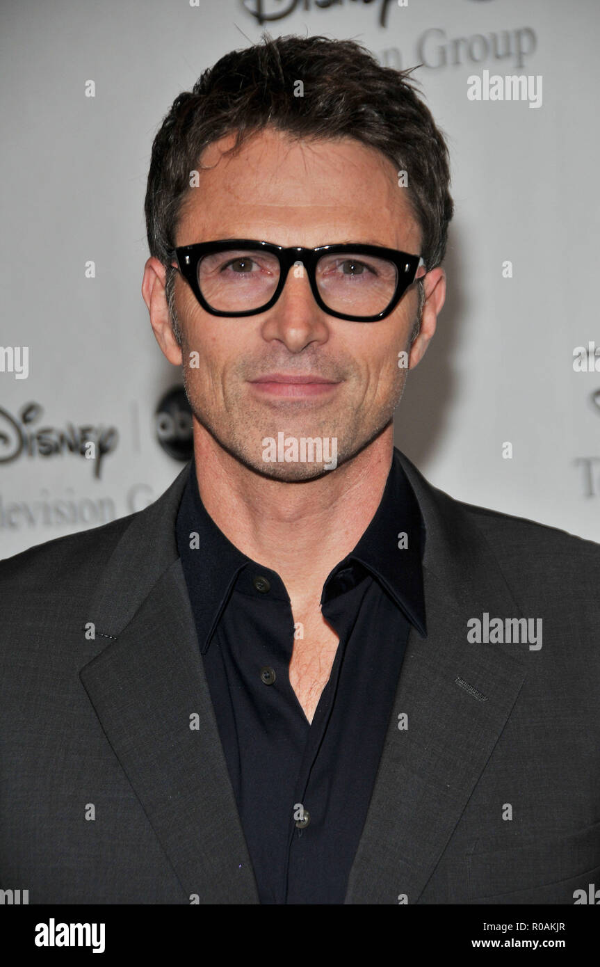Tim Daly - ABC - tca Summer Party 2008 at the Beverly Hilton In Los ...