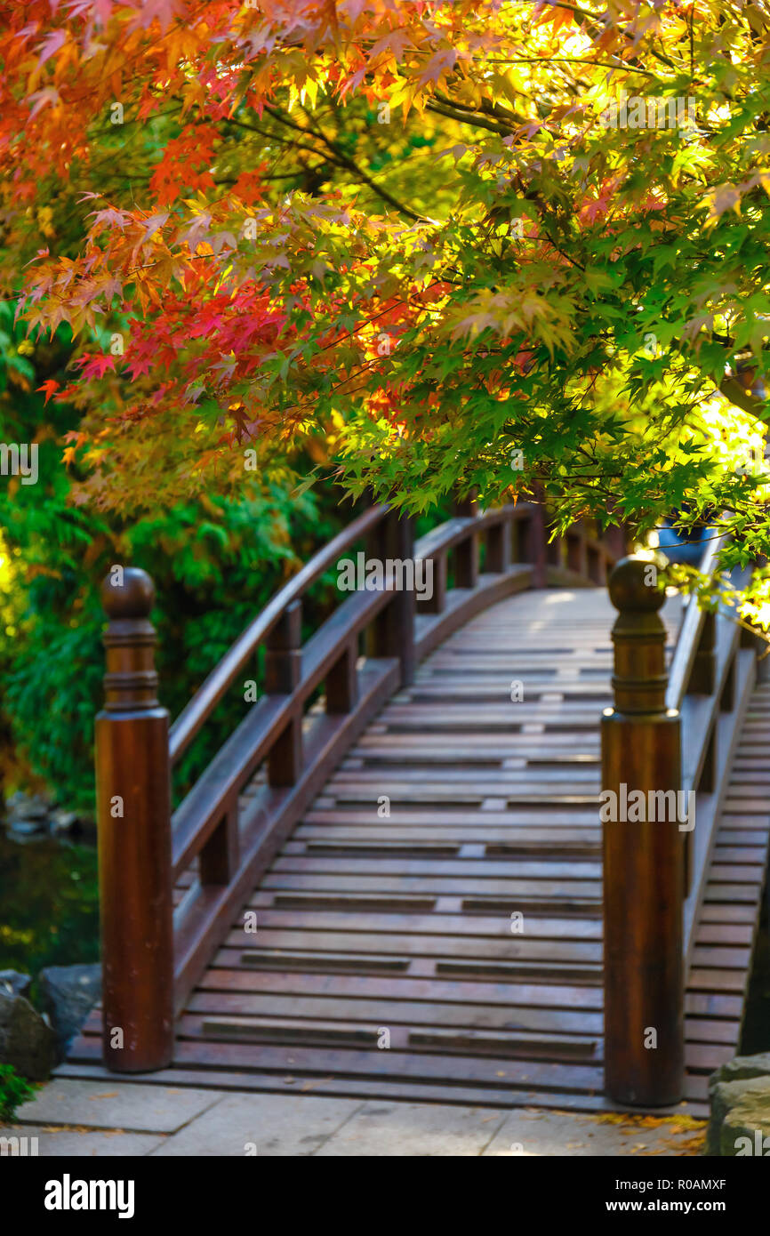 Beautiful japanese garden with bridge in autumn time Stock Photo - Alamy