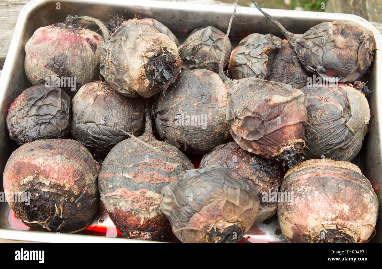 Close up of cooked roasted beetroot roots in metal tray, UK Stock Photo ...