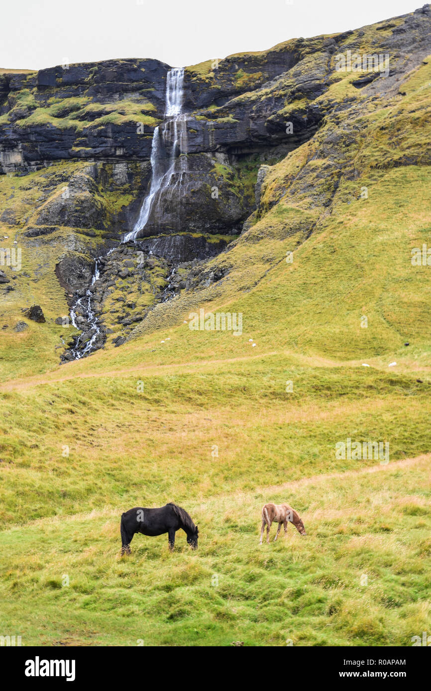 Horses waterfall hi-res stock photography and images - Alamy