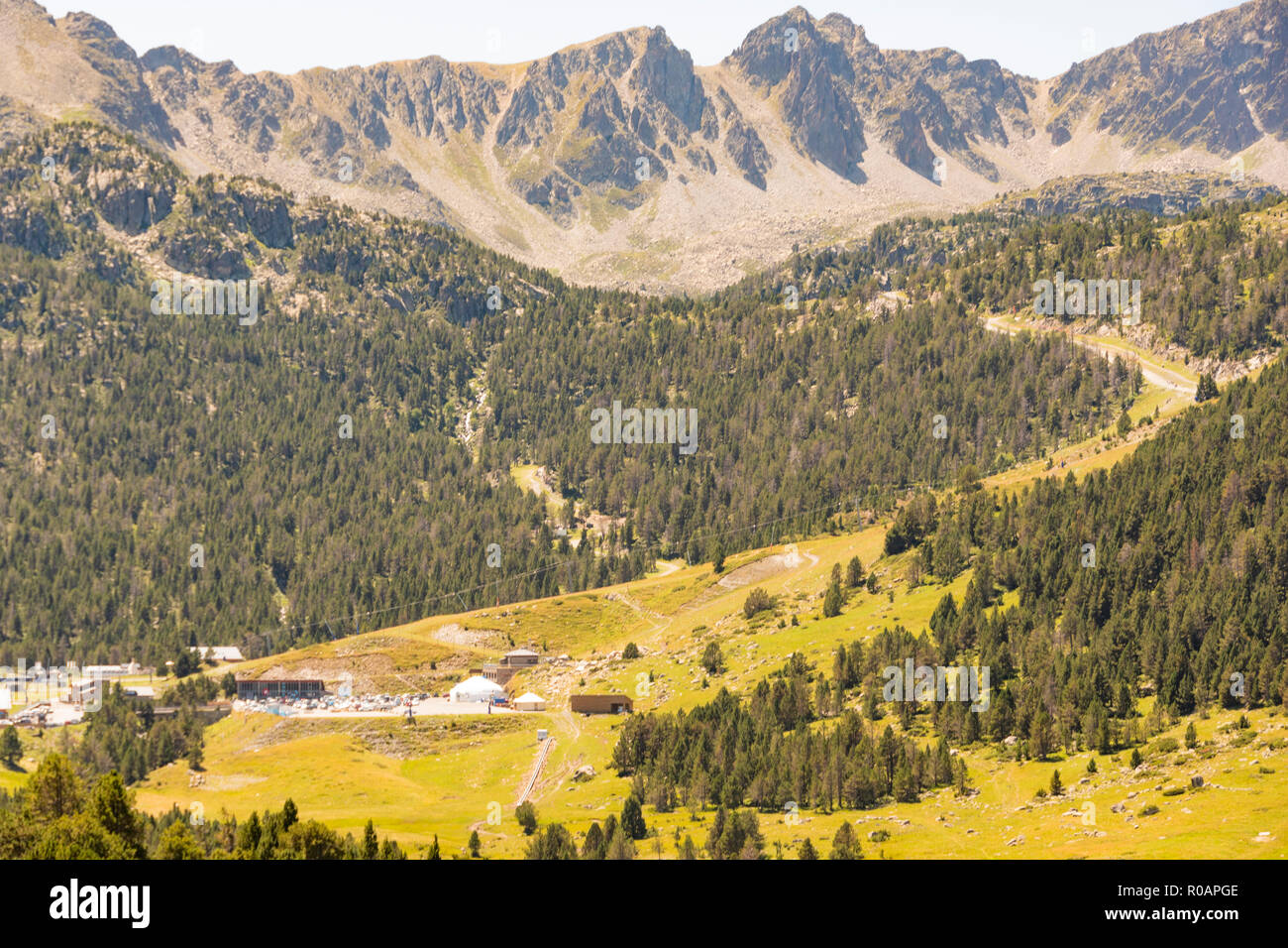 Pinewood forests hi-res stock photography and images - Alamy